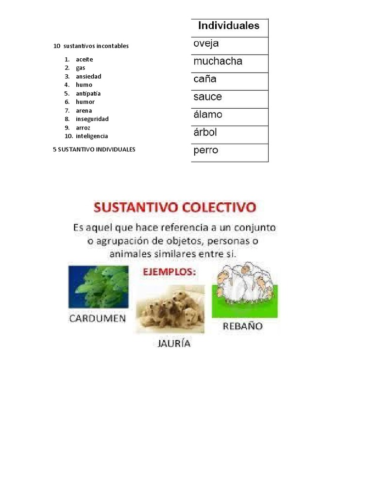 10 Sustantivos Incontables | PDF