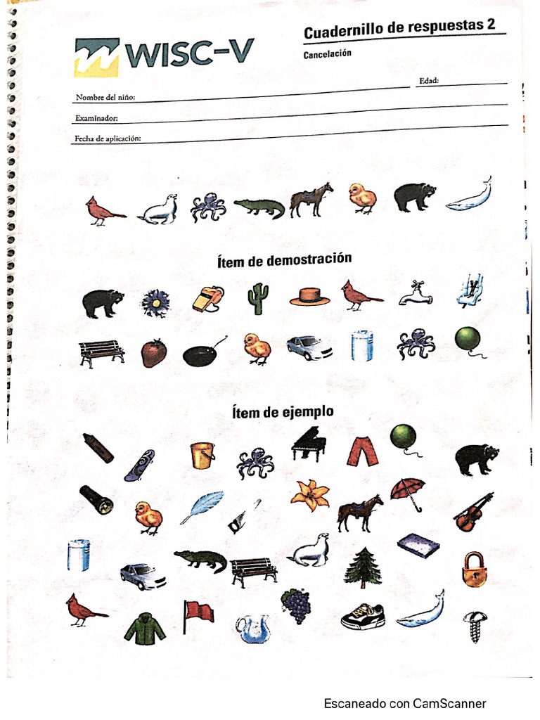 Cancelacion Wisc V | PDF