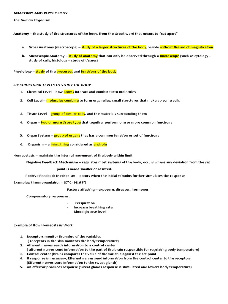 ANATOMY AND PHYSIOLOGY MODULE 1 Notes | PDF | Human Body | Medical ...