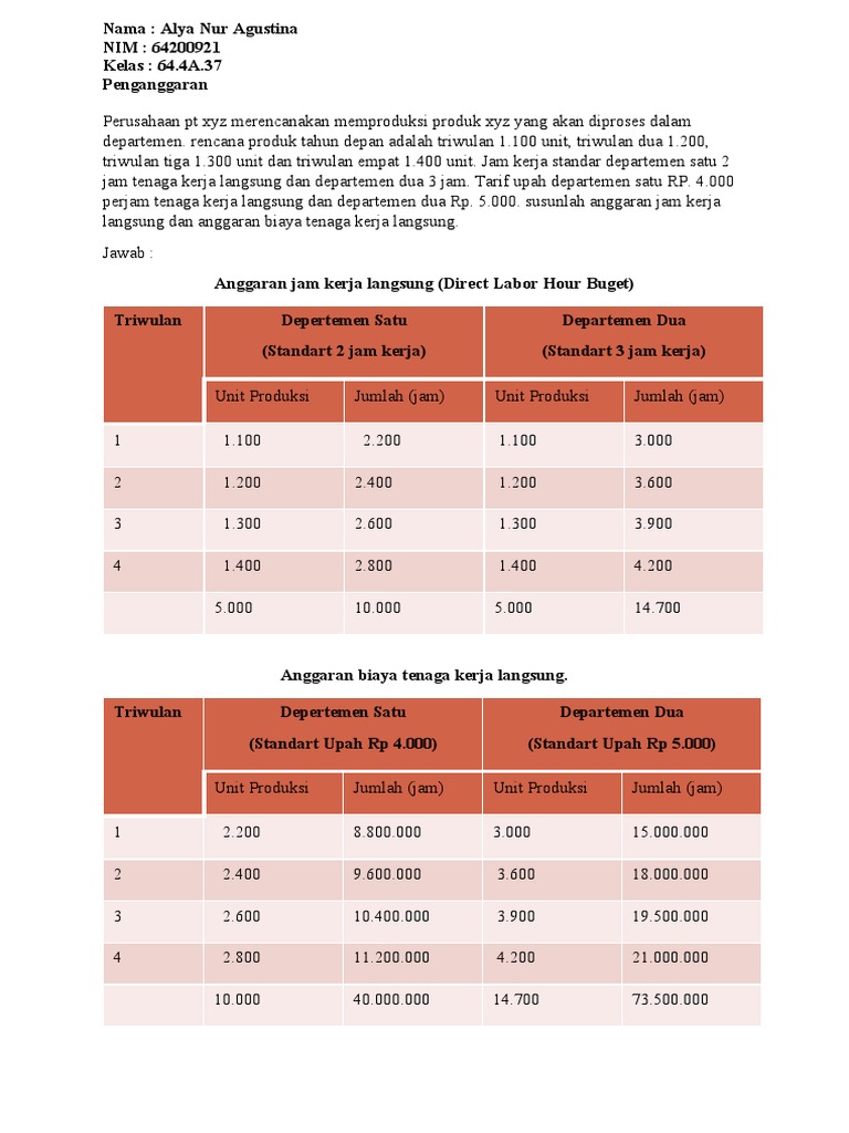 Tugas Penganggaran Pertemuan 6 Alya Nur | PDF