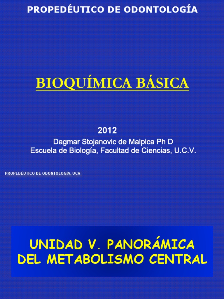 Bioquímica Básica: Dagmar Stojanovic de Malpica PH D Escuela de ...