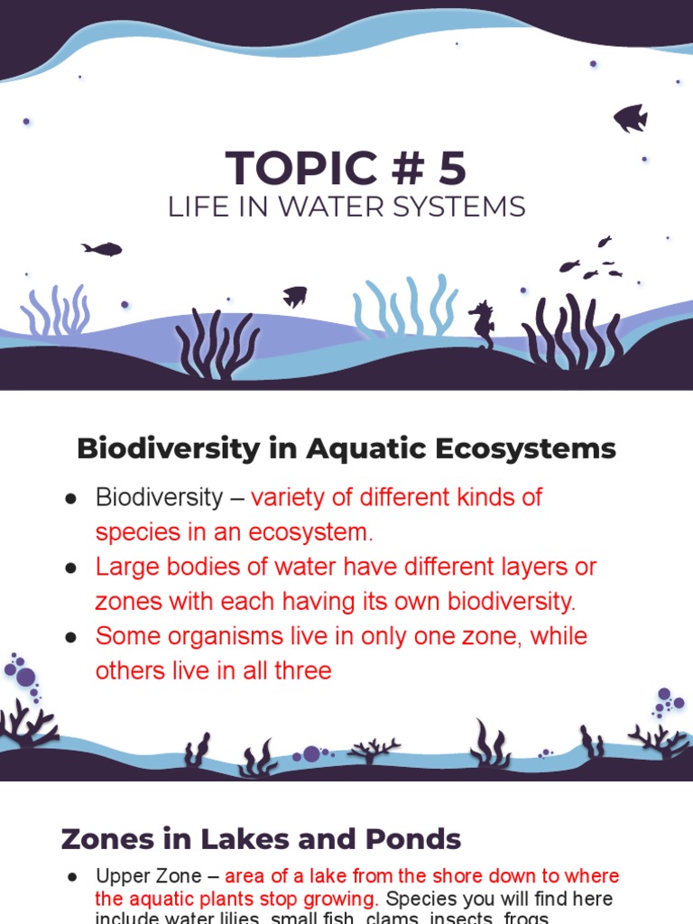Topic 5 Life in Water Systems | PDF | Pond | Water