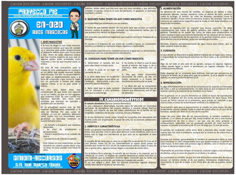 Alimentación: Fichas Informativas de Especialidades | PDF | Aves