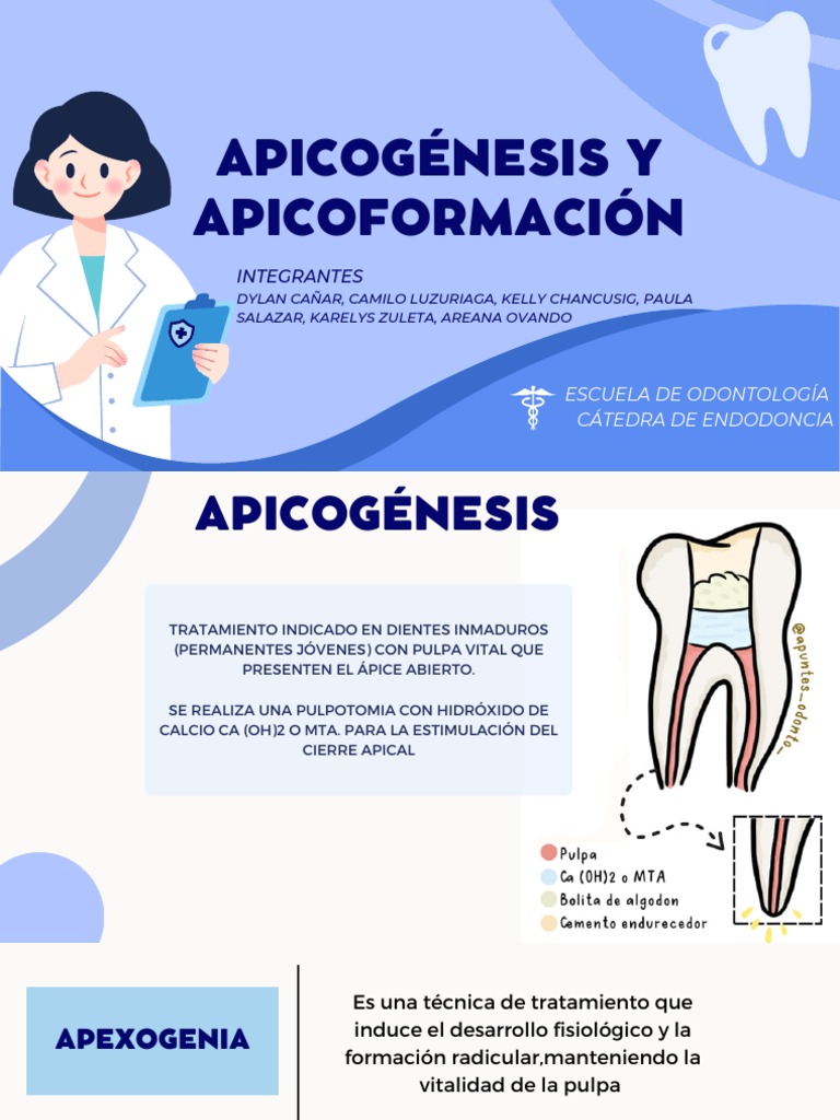 Presentacion Apicogenesis y Apicoformacion | PDF | Medicina CLINICA ...