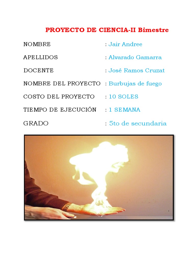 Proyecto de Ciencia | PDF