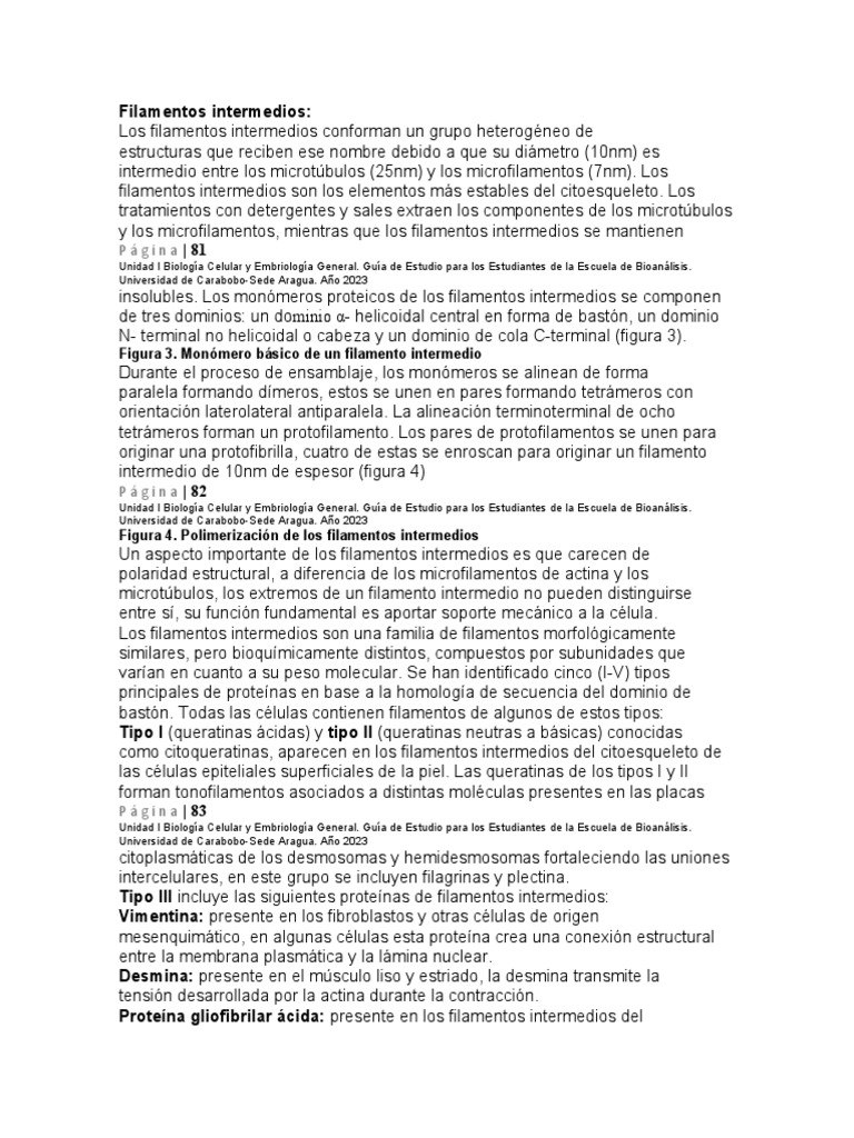 Filamentos Intermedios | PDF | Microtúbulos | Macromoléculas