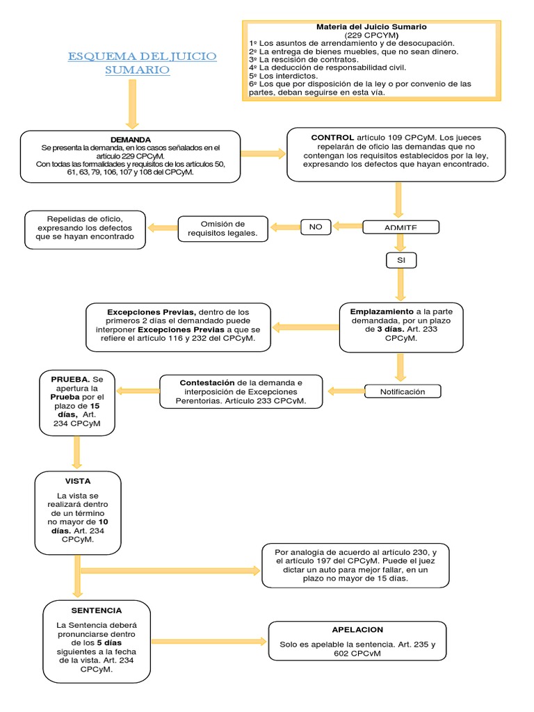 Esquema Del Juicio Sumario | PDF