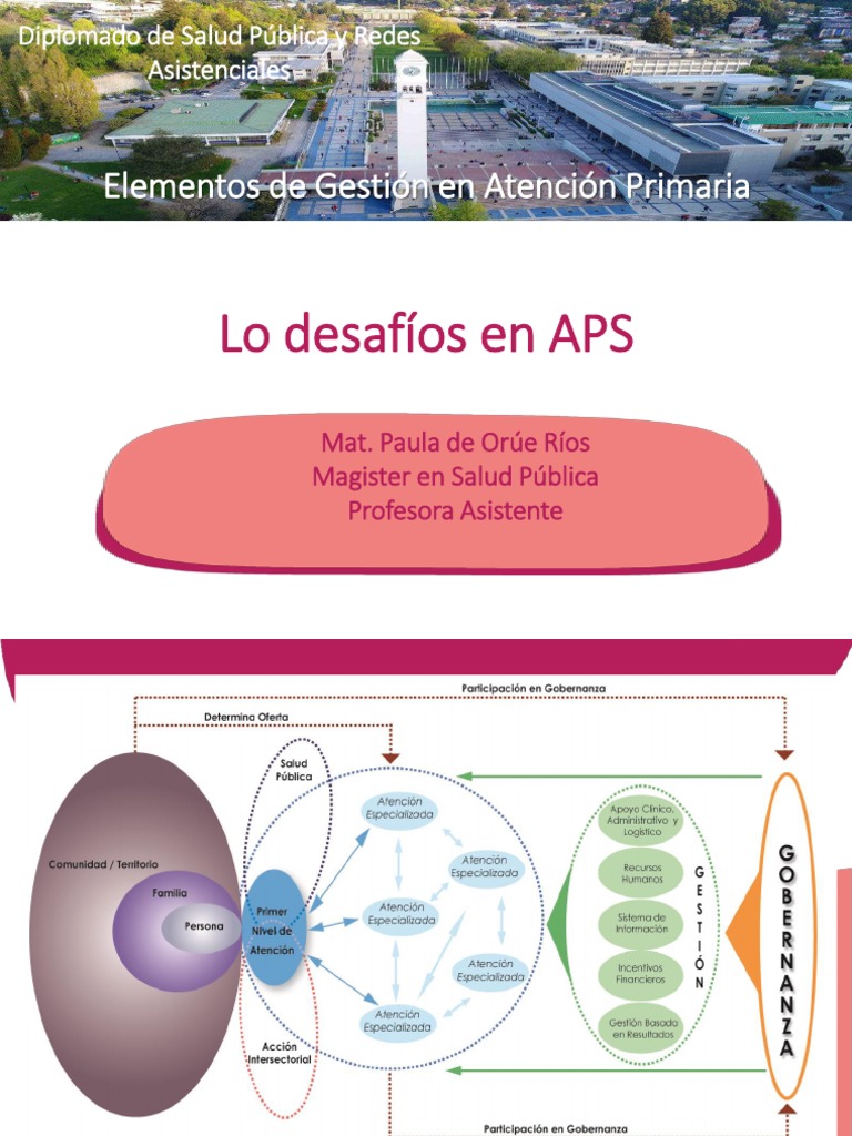 Lo Desafíos en APS: Elementos de Gestión en Atención Primaria | PDF | Medicina | Ciencias de la ...