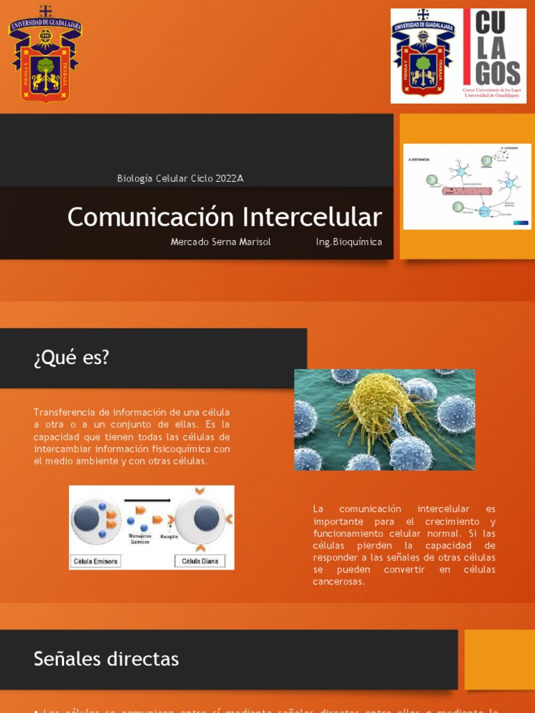Comunicación intercelular: Un proceso fundamental para la coordinación ...