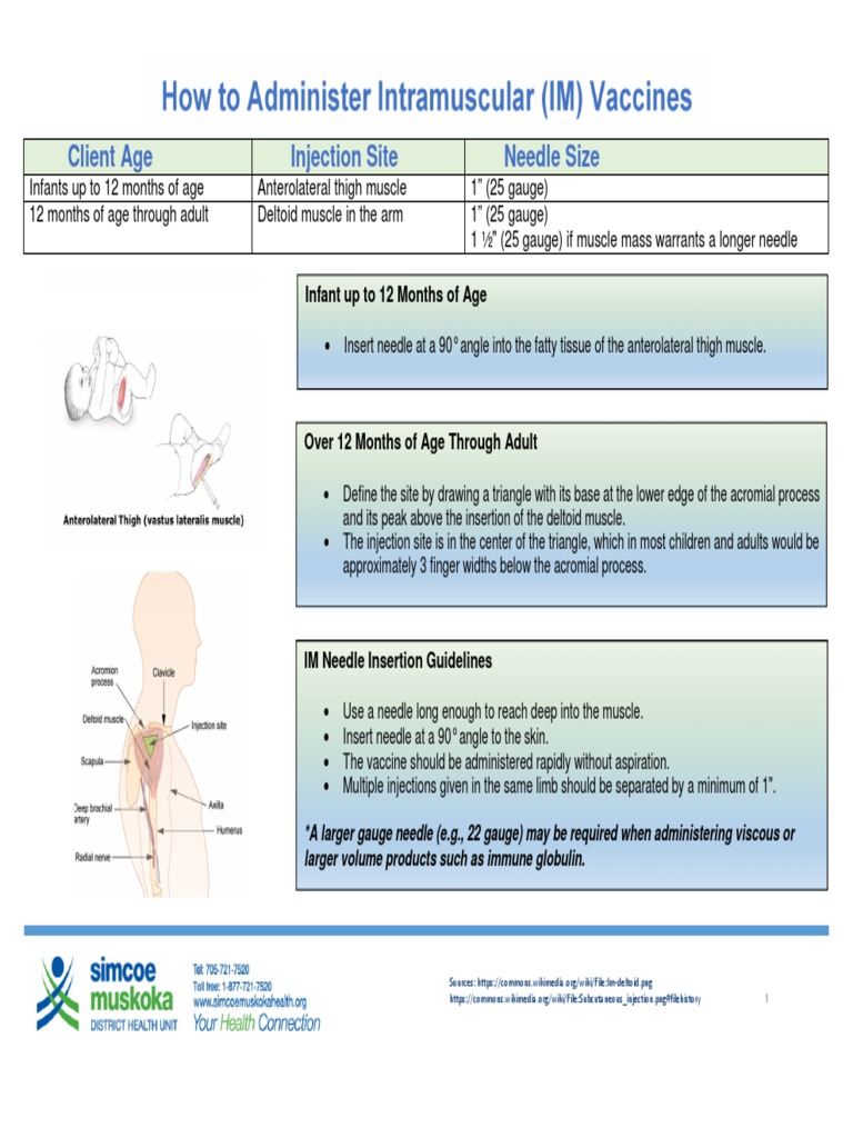 How To Administer Intramuscular (IM) Vaccines: Client Age Injection ...