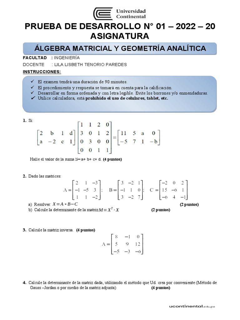 PRUEBA DE DESARROLLO N°01-2023-00 | PDF