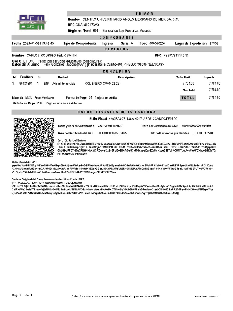 Factura | PDF | Pagos | Tecnología bancaria