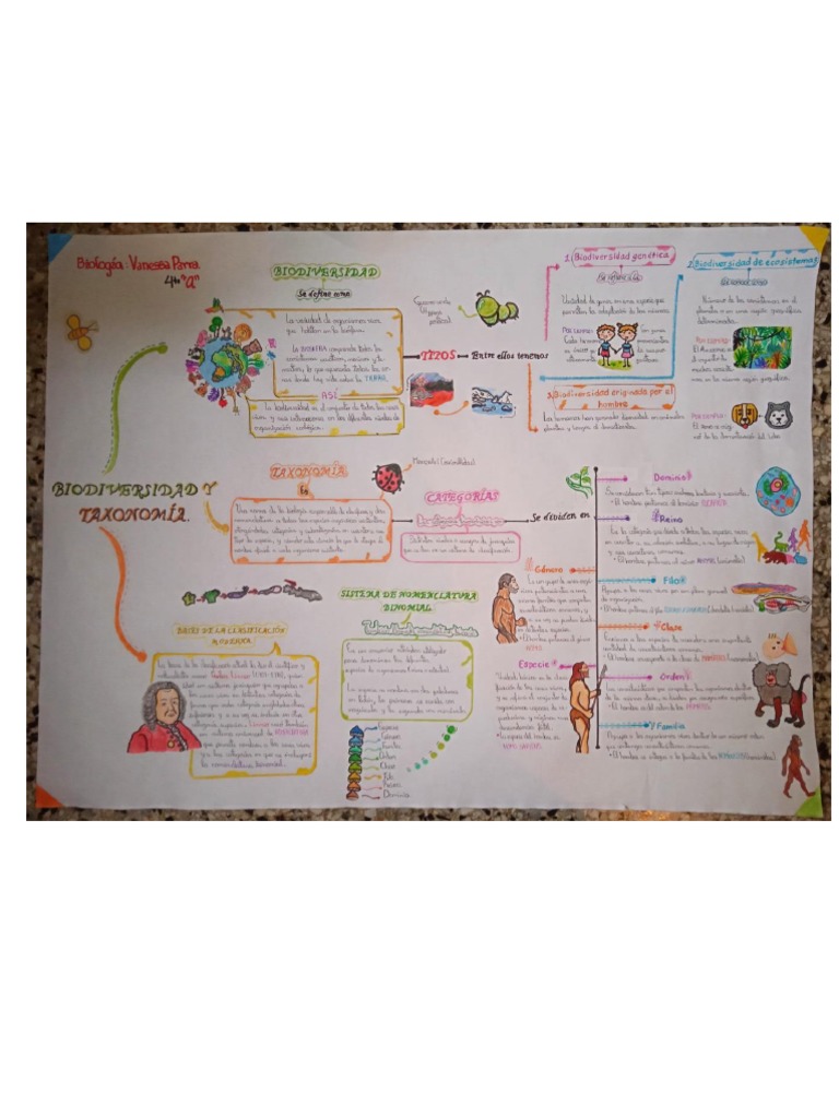 Biodiversidad y Taxonomía. Mapa Mixto. | PDF