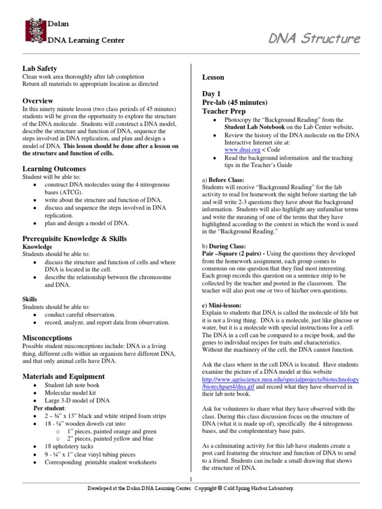 Lesson Plan DNA Structure | Download Free PDF | Dna | Nucleic Acids
