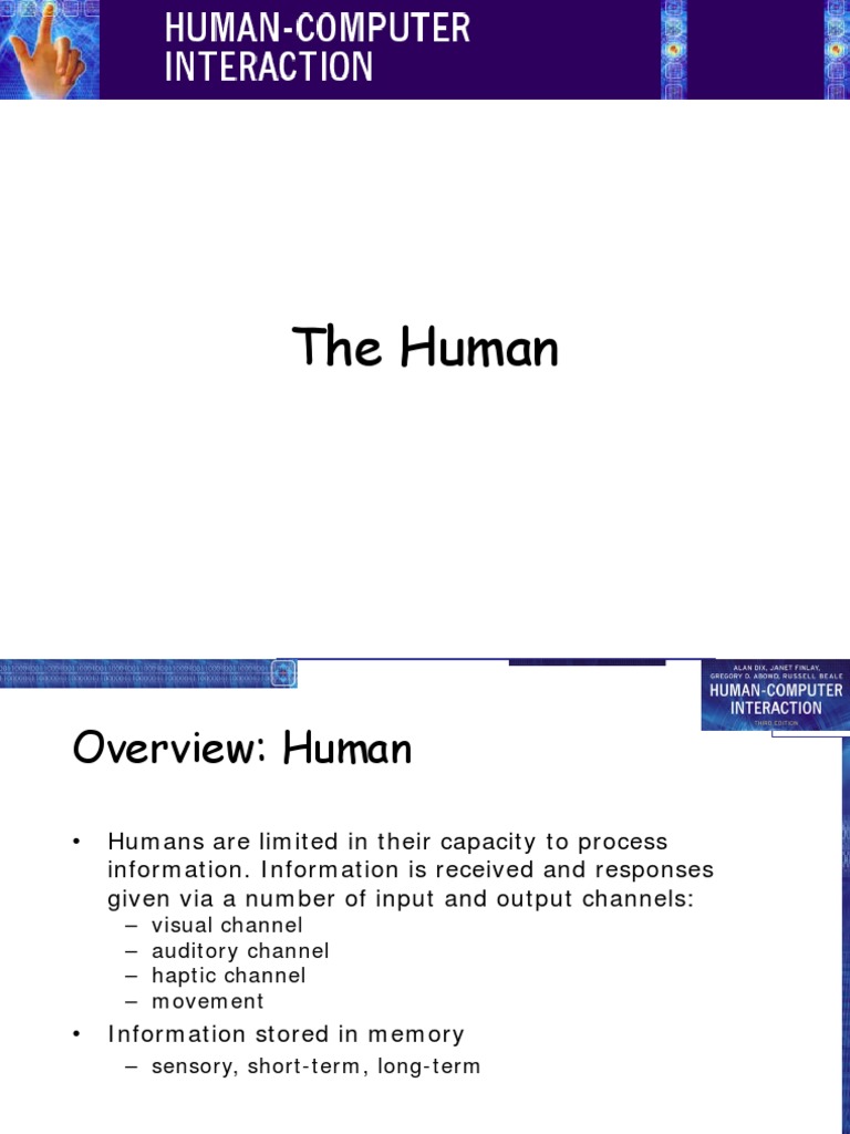 The Human | PDF | Visual Perception | Sound