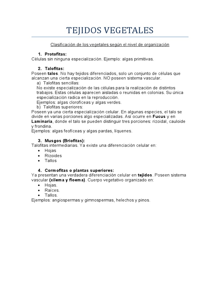 Tejidos Vegetales: 1. Protofitas: 2. Talofitas | PDF | Tallo de la ...