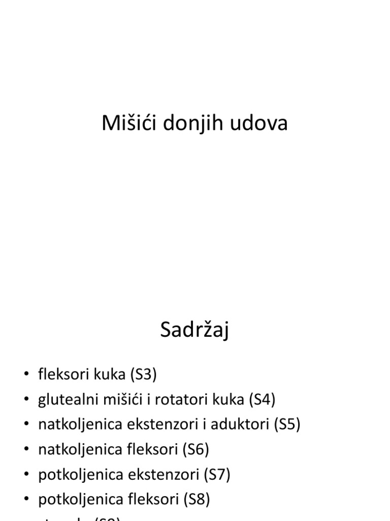 Misici Donjih Udova | PDF