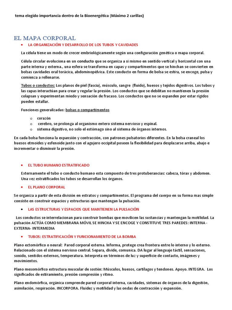 El Mapa Corporal | PDF | Músculo | Cerebro