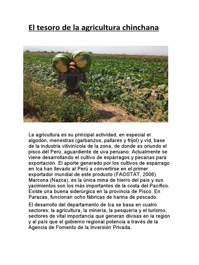 El Tesoro de La Agricultura Chinchana | PDF