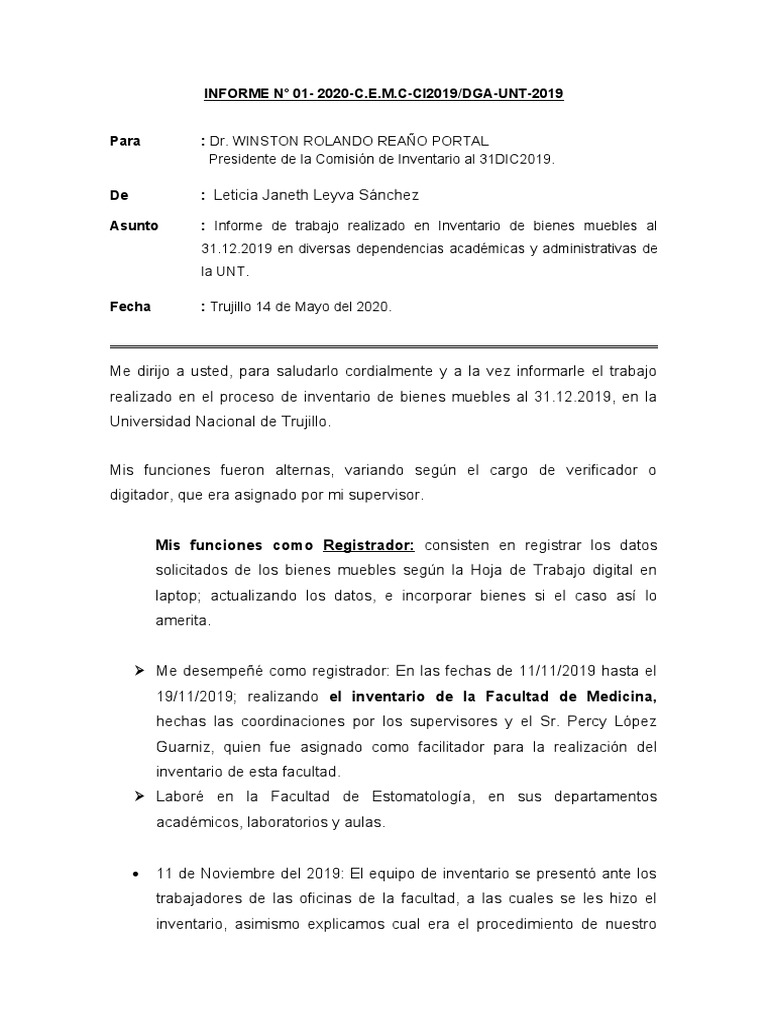 Modelo de Informe-Inventario 2019 | PDF