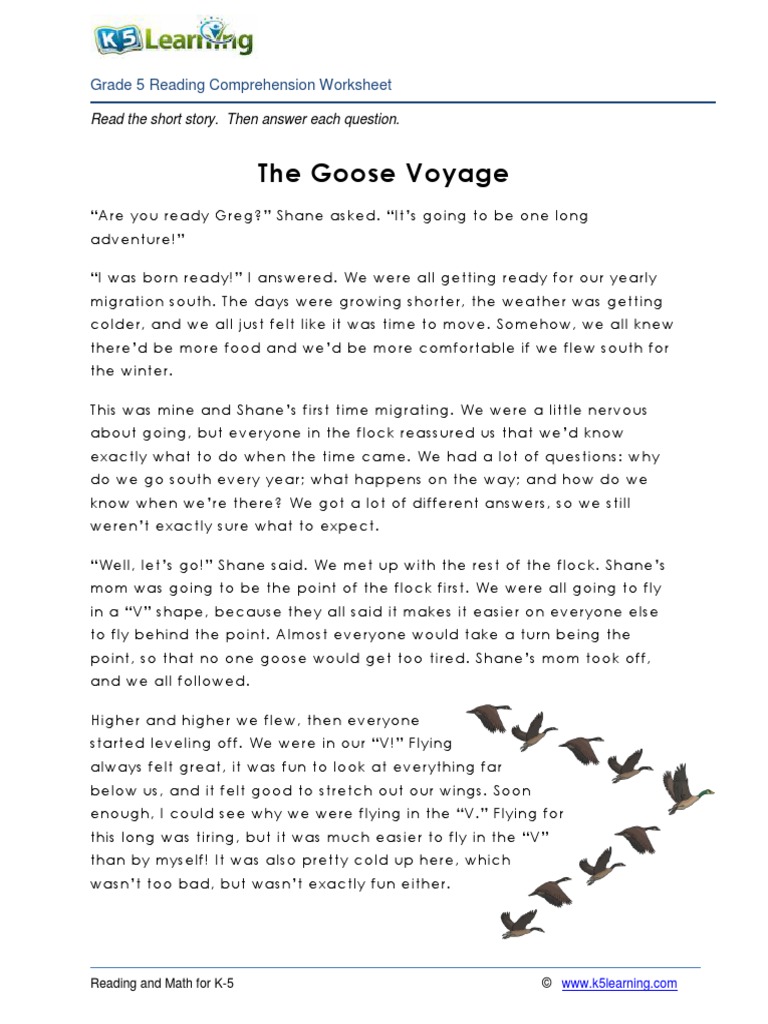 5th Grade 5 Goose Voyage | PDF