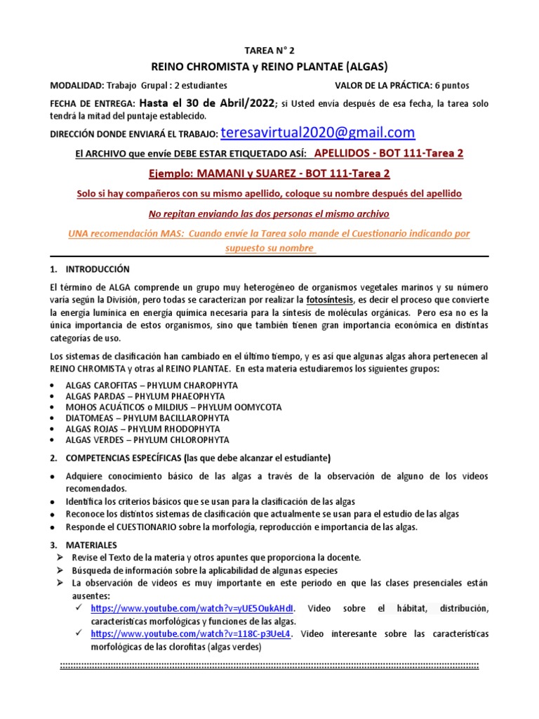 Reino Chromista y sus Algas | PDF | Algas | Plantas