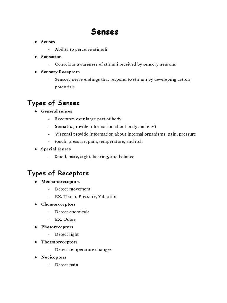 Senses Notes | PDF | Ear | Retina