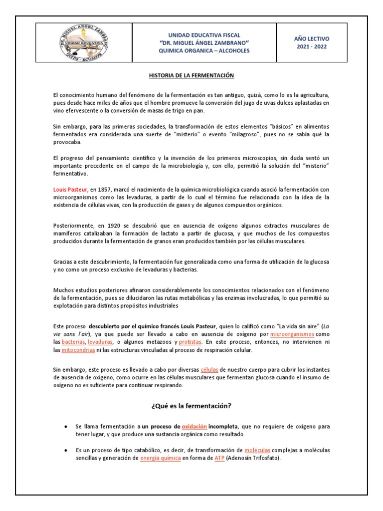 Historia De La Fermentación Descargar Gratis Pdf Fermentación