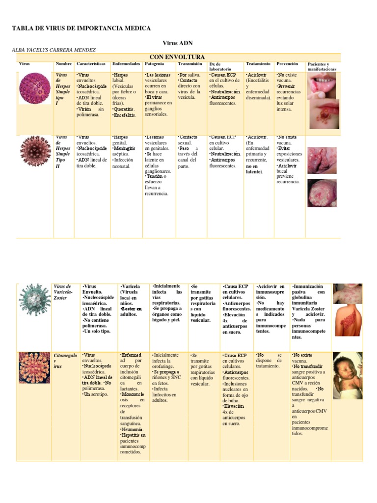 Tabla de Virus de Importancia Medica Virus ADN Con Envoltura | PDF | Virus | Herpes Simple