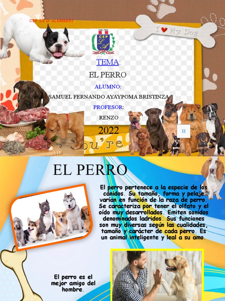 el perro | PDF