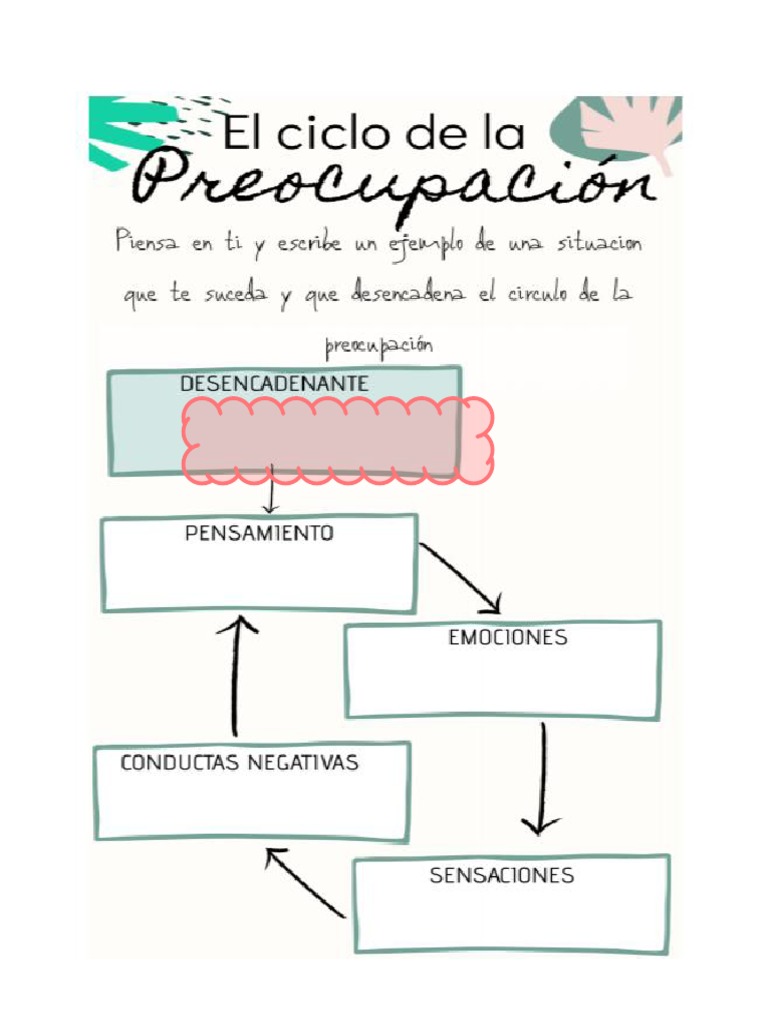 Ciclo de La Preocupación | PDF