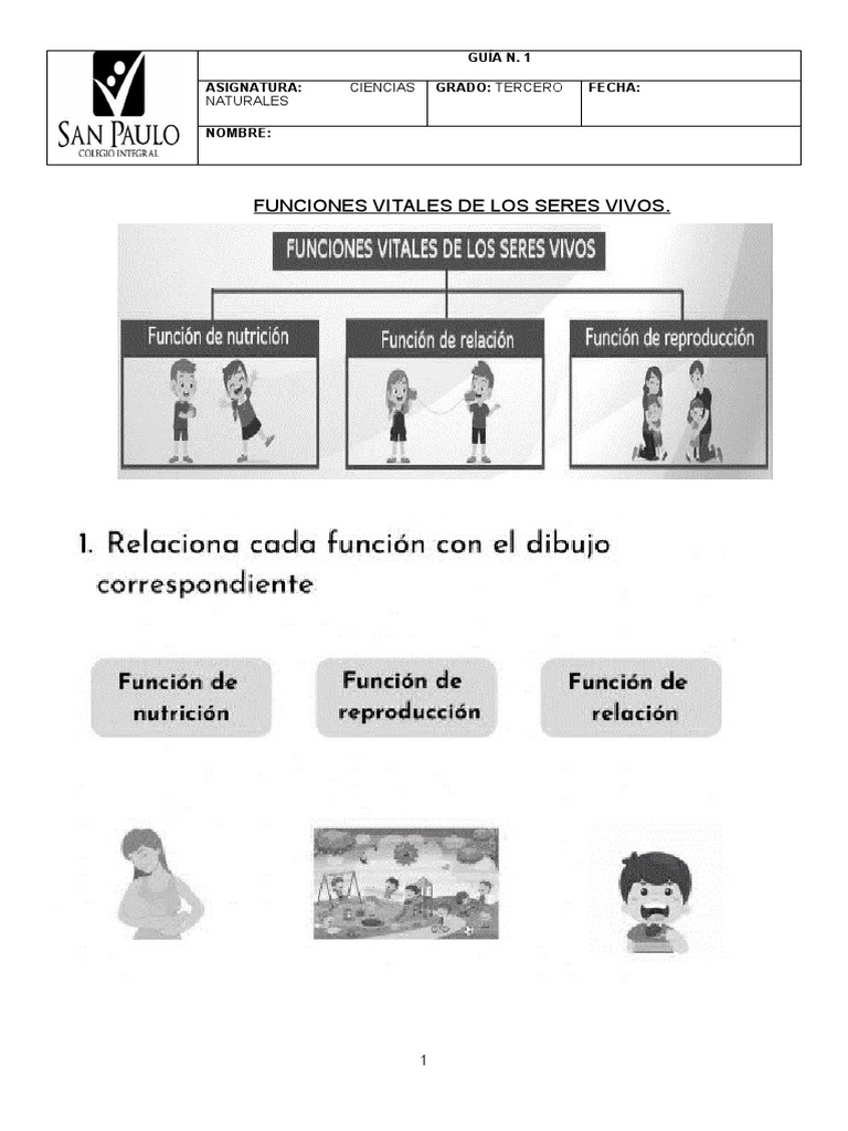 Funciones Vitales 3 | PDF