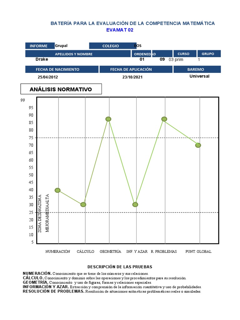 Informe Evamat Final | PDF