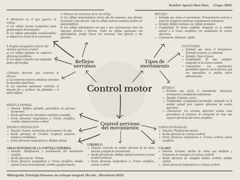 Mapa Conceptual, Control Motor | PDF | Cerebro | Cerebelo