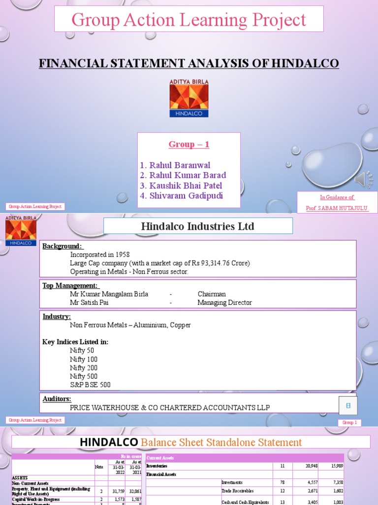 Group Action Learning Project: Financial Statement Analysis of Hindalco | PDF | Expense | Income ...