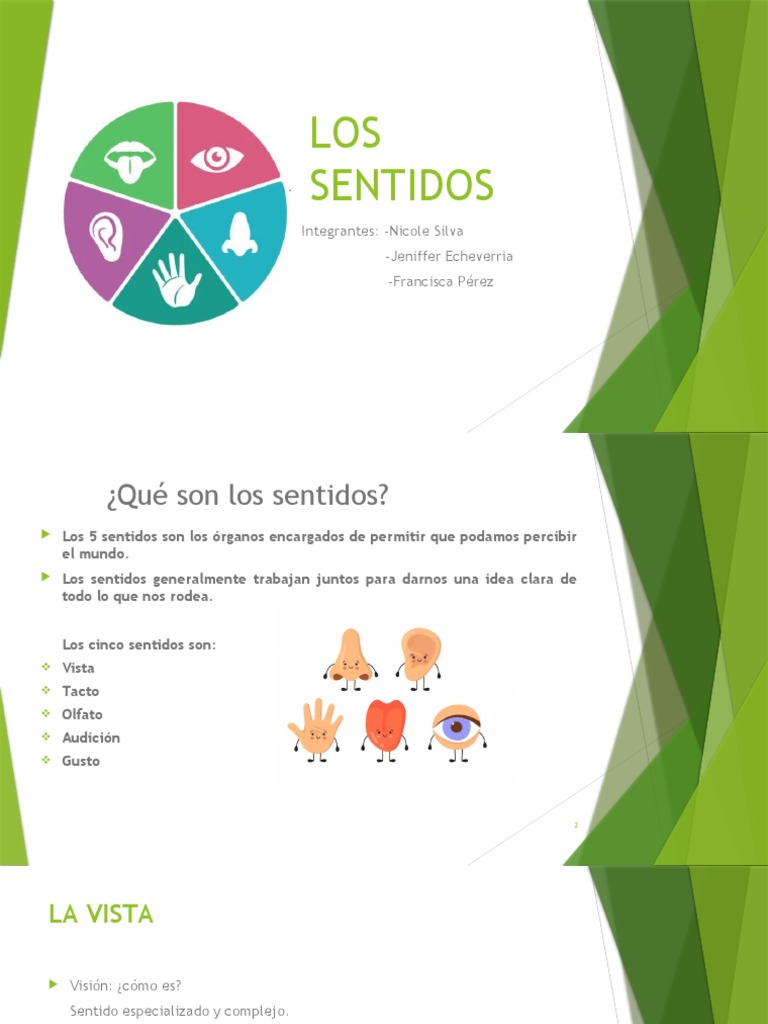 Los 5 Sentidos | PDF | Gusto | Oído