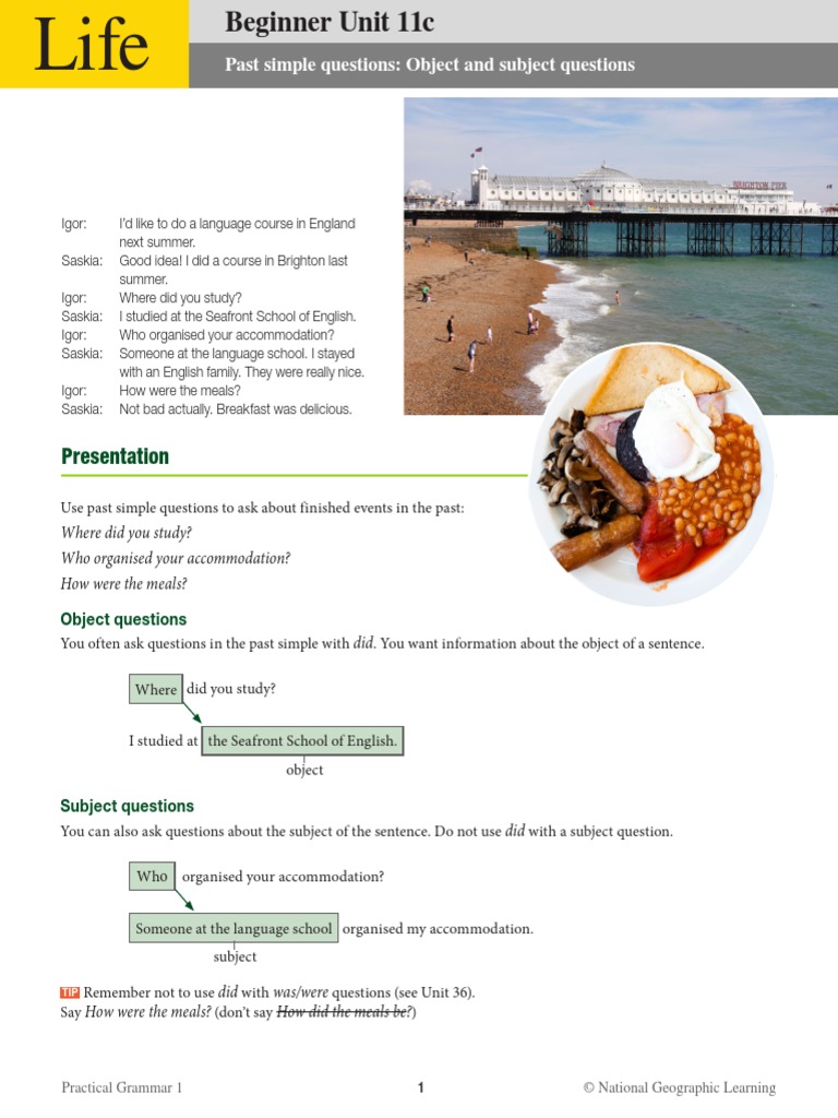 Beginner Unit 11c | PDF | Human Communication | Cognition