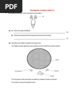 Science Checkpoint Revision Sheet Year 8 | PDF | Atoms | Ionic Bonding