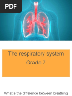 Grade 6 Science Revision Notes | PDF | Flowers | Force