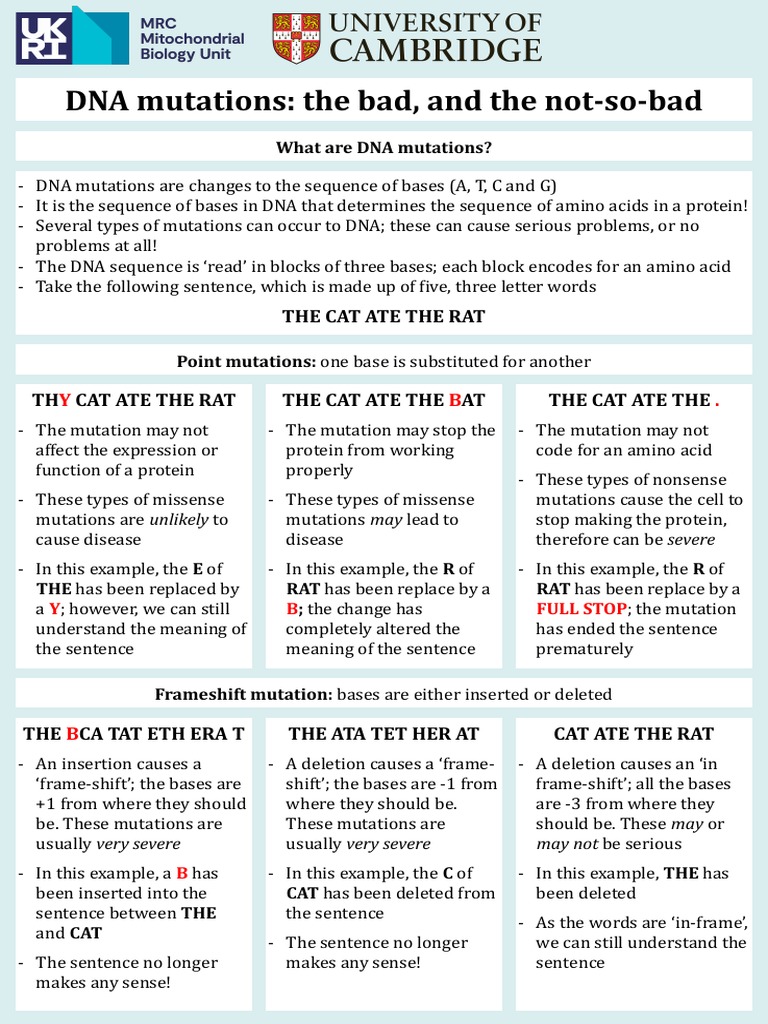 4 Dna Mutations Poster | PDF | Mutation | Biochemistry