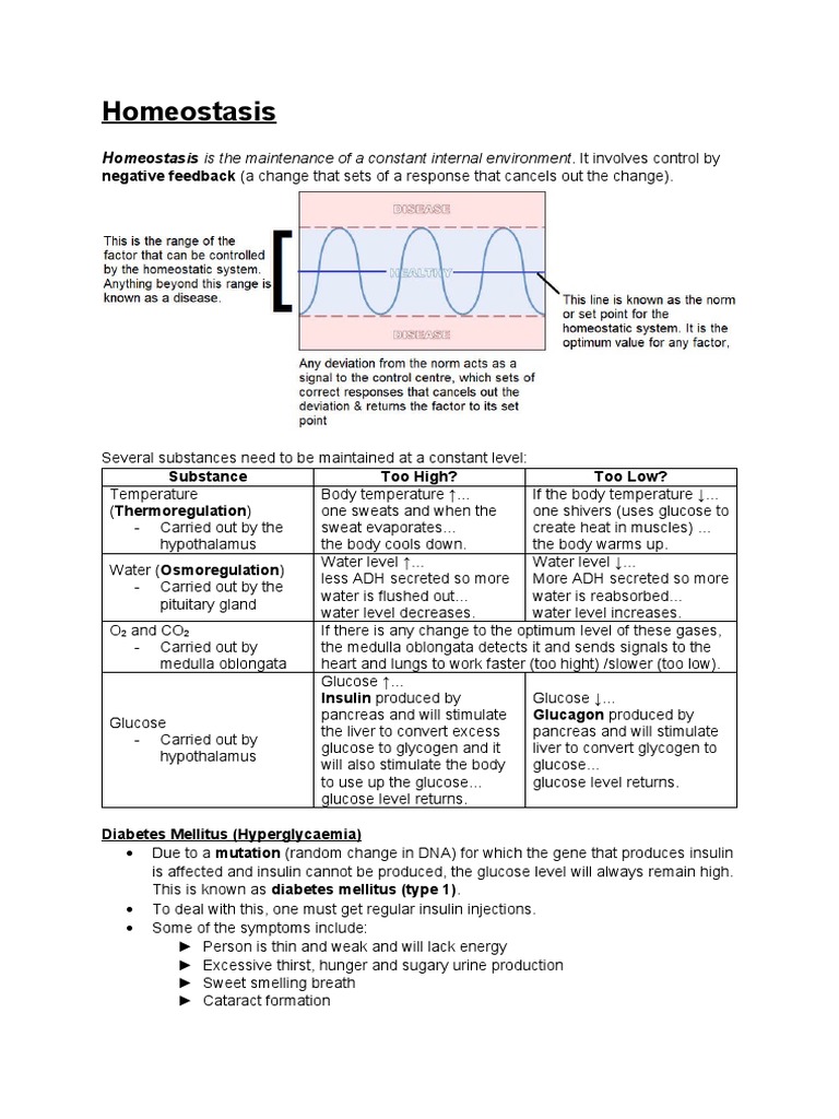 Understanding Homeostasis and Hormones | PDF | Homeostasis | Hormone