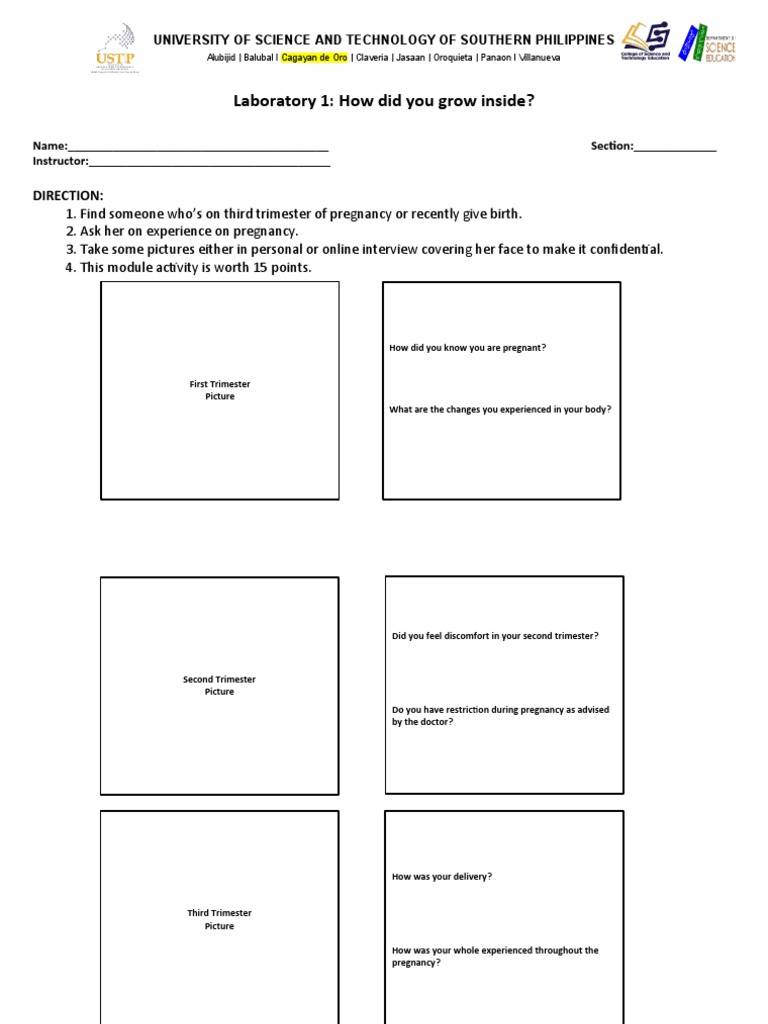 Laboratory Activity 1 | PDF