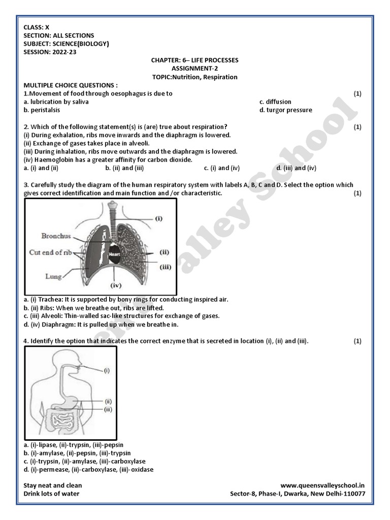 951X_Science_Biology_Ch-6 Life Processes_Assignment 2 (3) | PDF ...