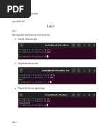 Bí Kíp Pass Lab211 | PDF