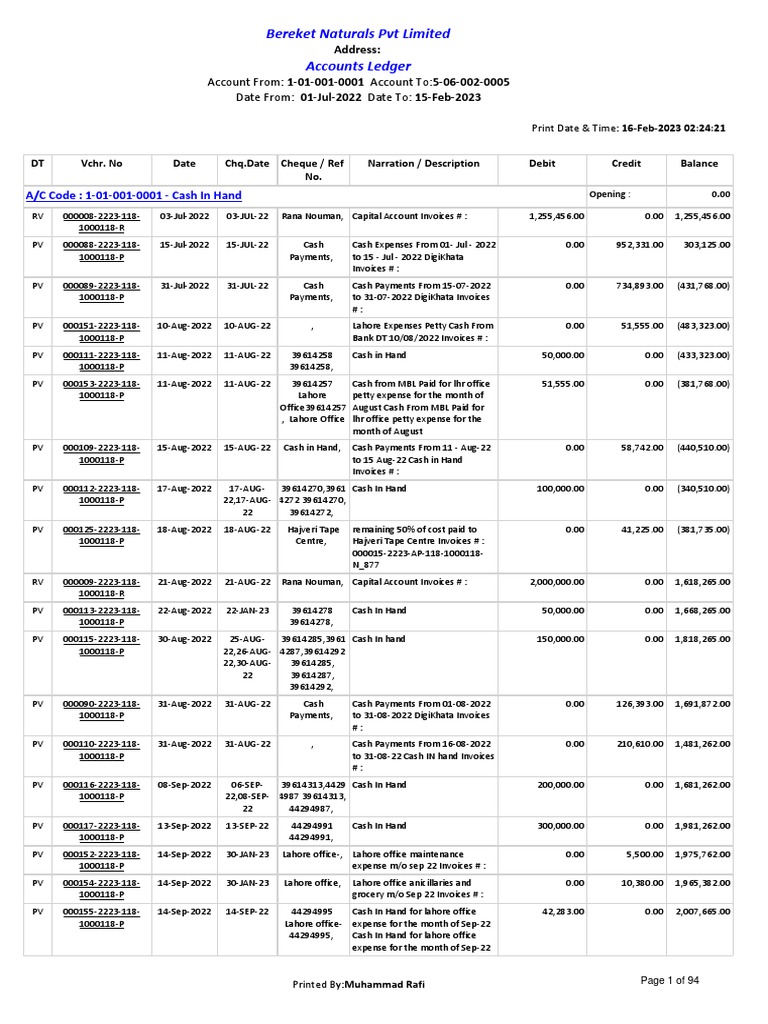 Bereket Naturals PVT Limited Accounts Ledger | PDF | Payments | Debits ...