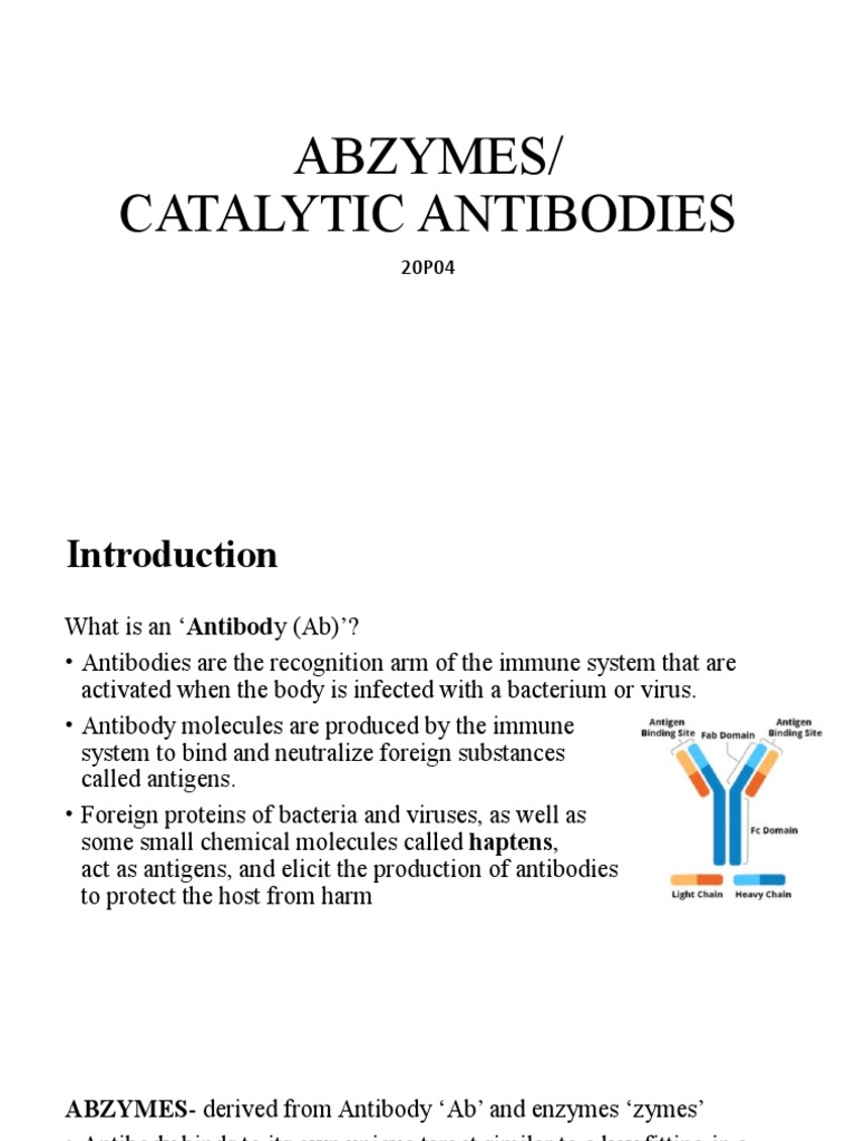 Abzymes/ Catalytic Antibodies | PDF | Catalysis | Clinical Medicine