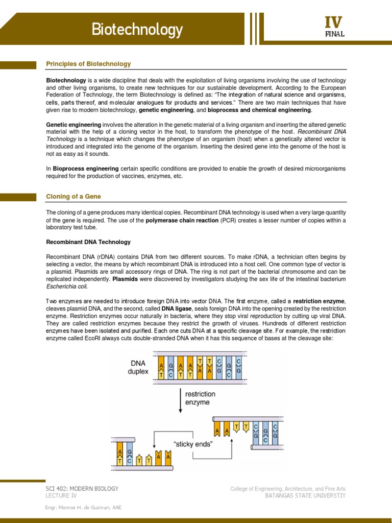 Principles of Biotechnology | PDF | Molecular Cloning | Plasmid
