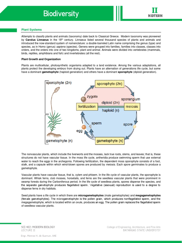 Lecture II - Midterm | PDF | Plant Stem | Leaf Lecture II - Midterm | PDF | Plant Stem | Leaf