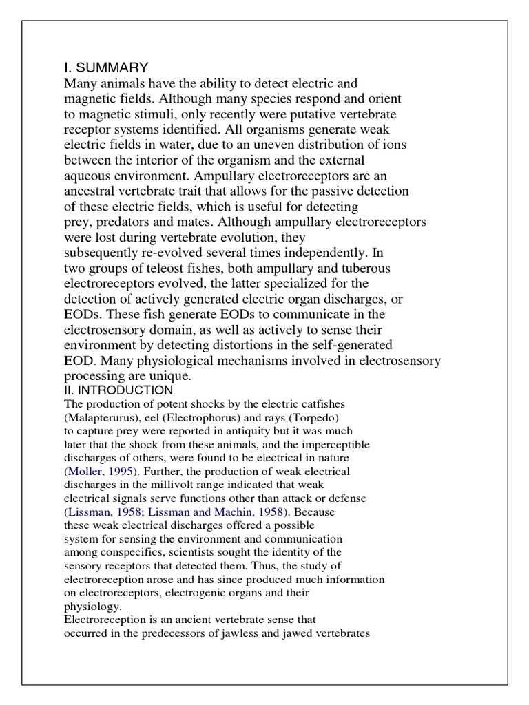 Assignment cc1 Specialpart2 | PDF | Stimulus (Physiology) | Cell Membrane