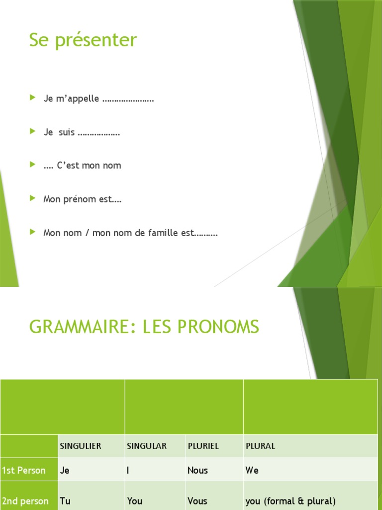 French Learning For Beginners | PDF | Nombre grammatical | Grammaire